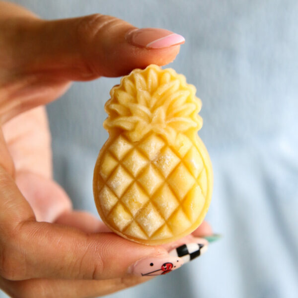 Salted Egg Yolk Pineapple Cakes - Constellation Inspiration