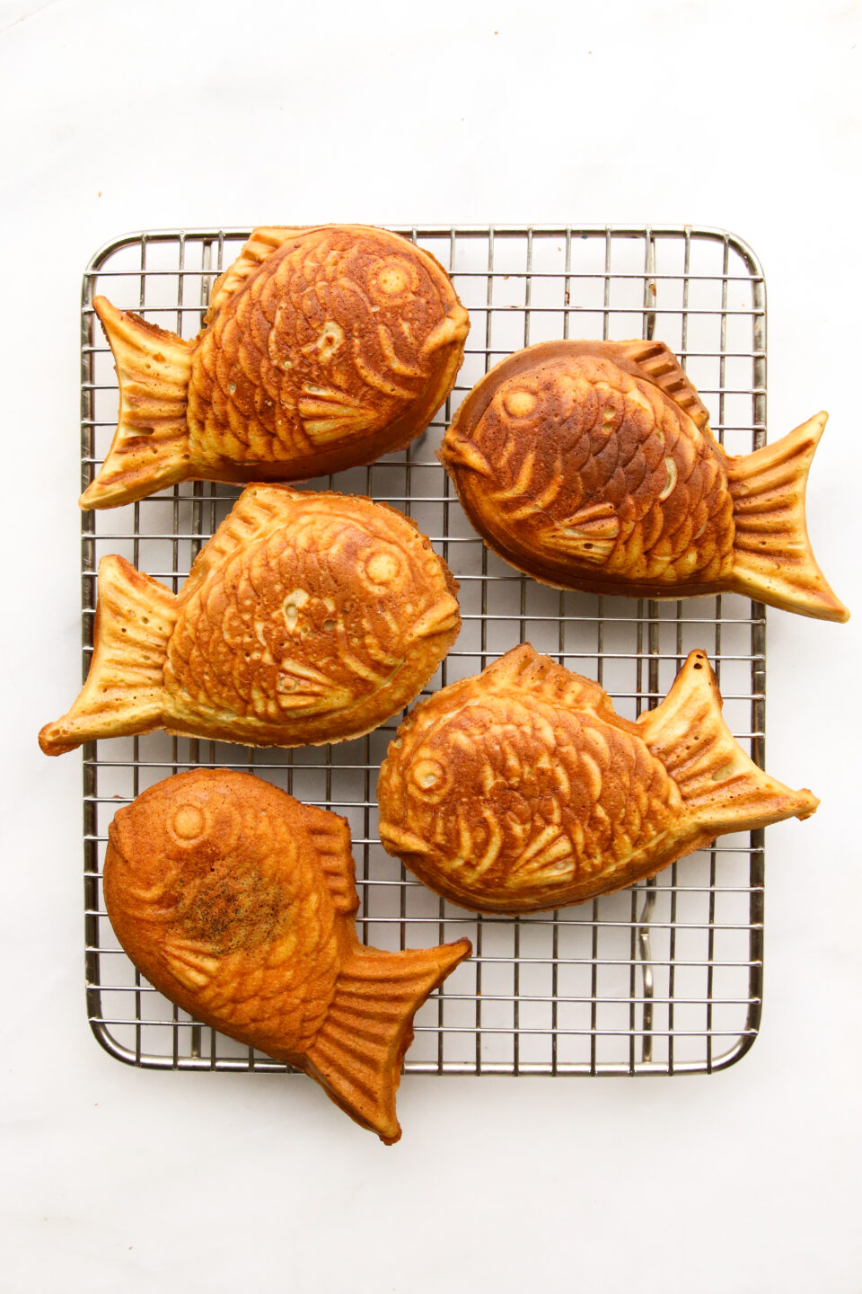 Cookie Butter Taiyaki (Fish-Shaped Waffle) - Constellation Inspiration