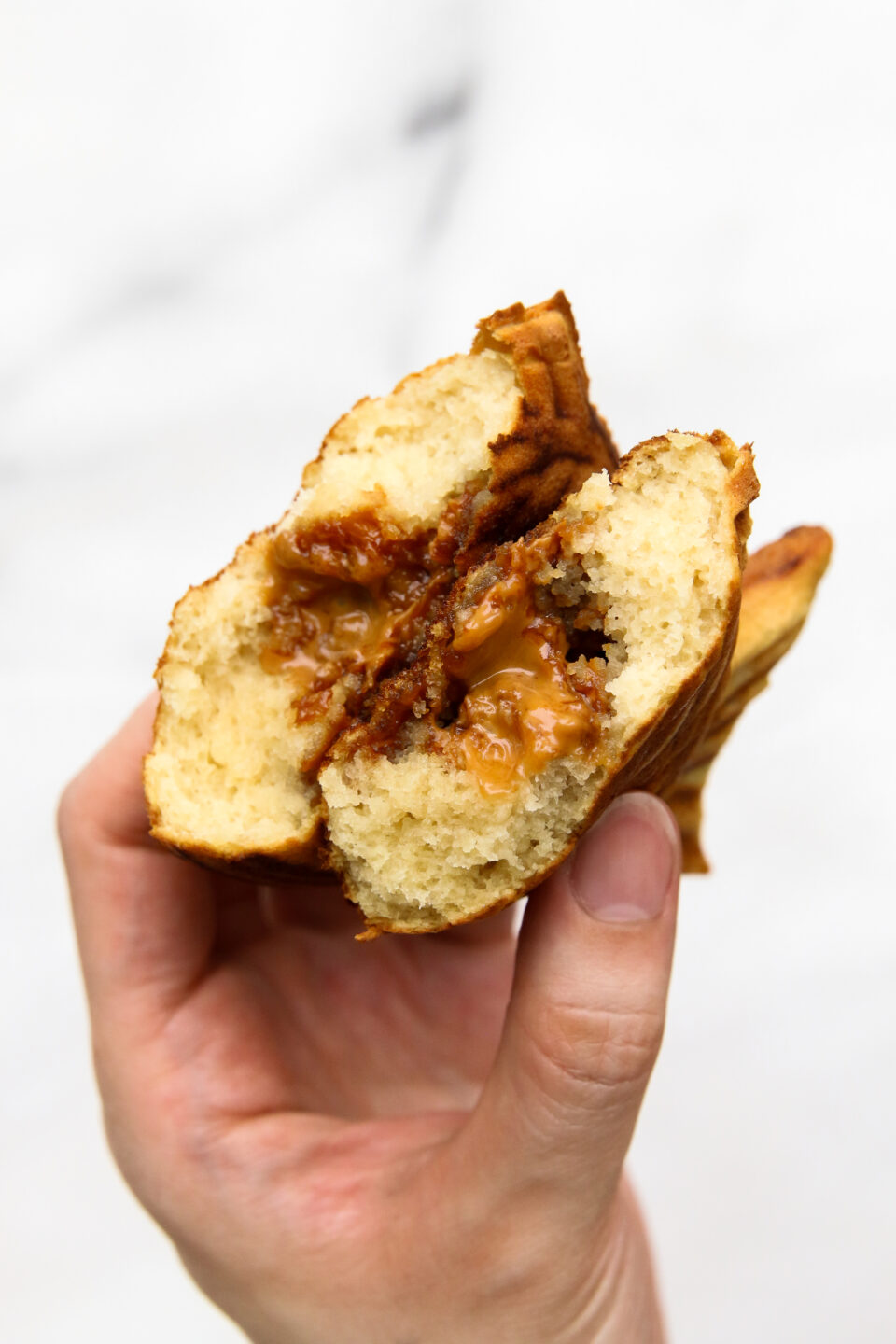 Cookie Butter Taiyaki (Fish-Shaped Waffle) - Constellation Inspiration