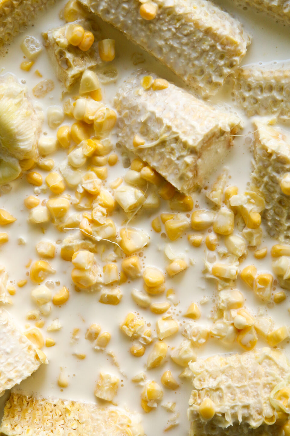 Sweet Corn Ice Cream Sandwich - Constellation Inspiration