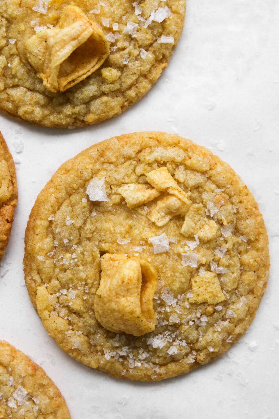 Turtle Chip Cookie - Constellation Inspiration